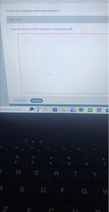 Solved i dont even begin to know where to start putting | Chegg.com