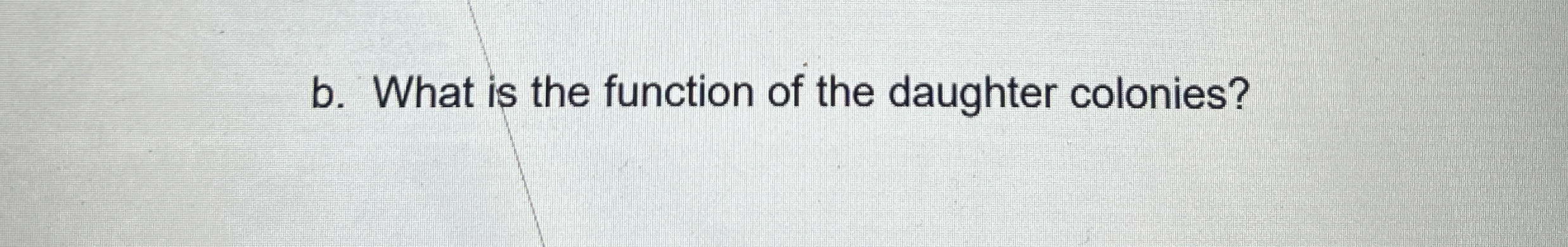 Solved b. ﻿What is the function of the daughter colonies? | Chegg.com