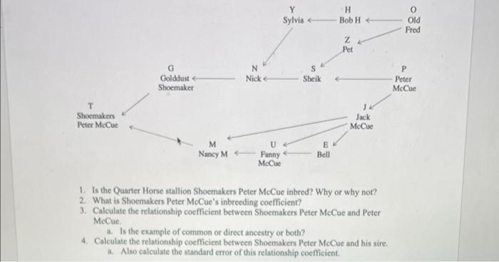 Solved 1. Is the Quarter Honse stallion Shoemakers Peter | Chegg.com