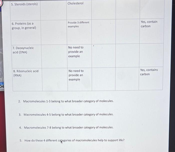 Solved Macromolecule Structure (draw Example of the Function | Chegg.com