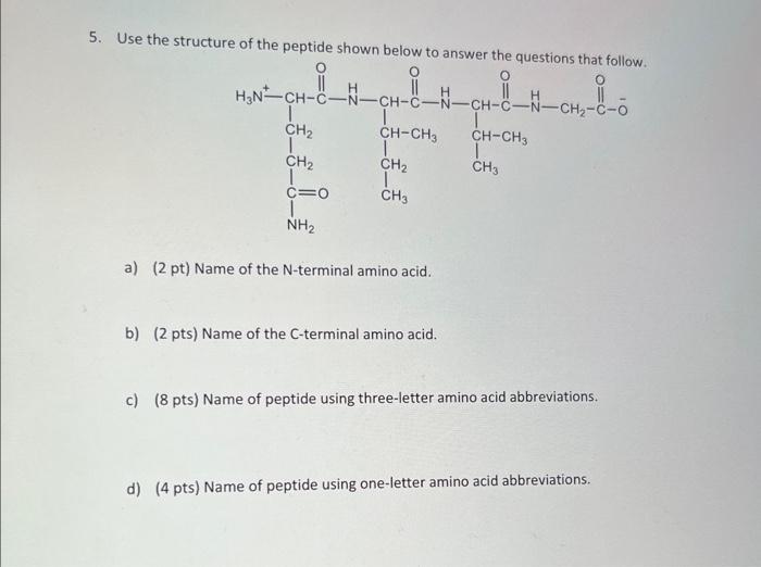 Solved 5. Use the structure of the peptide shown below to | Chegg.com