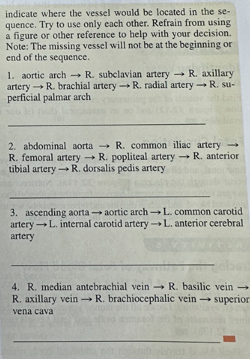 Solved indicate where the vessel would be located in the | Chegg.com
