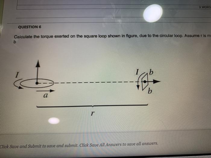 Solved O WORD QUESTION 6 Calculate the torque exerted on the | Chegg.com
