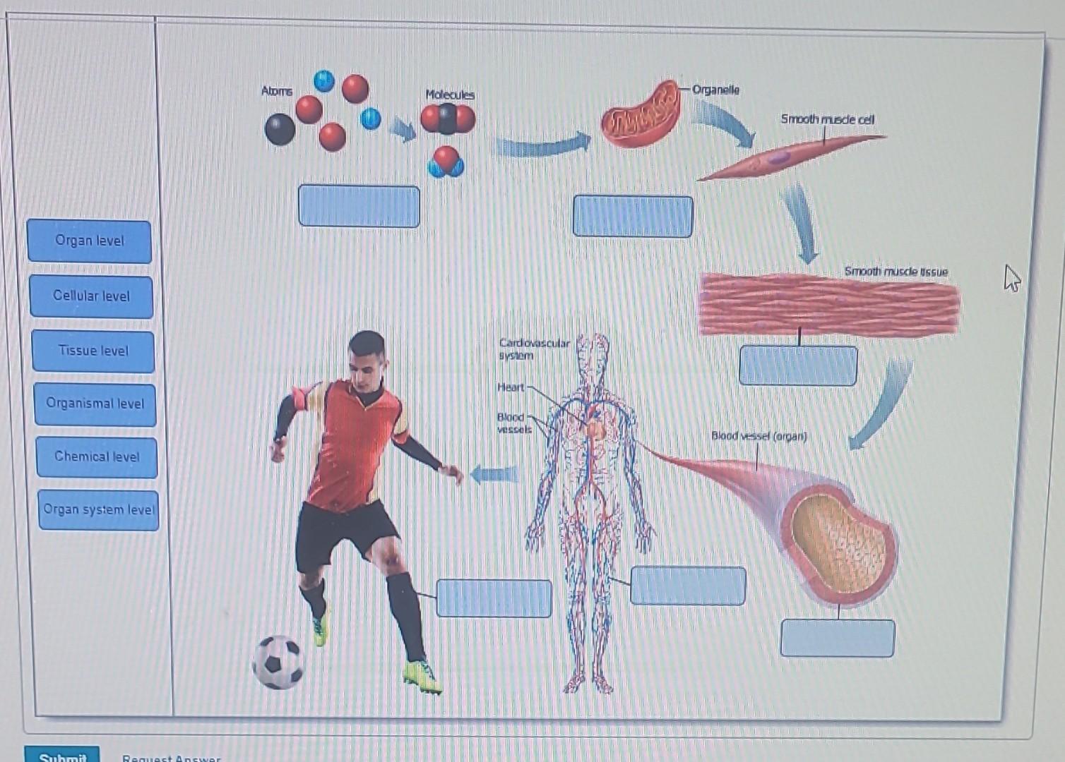 Solved help laBel | Chegg.com