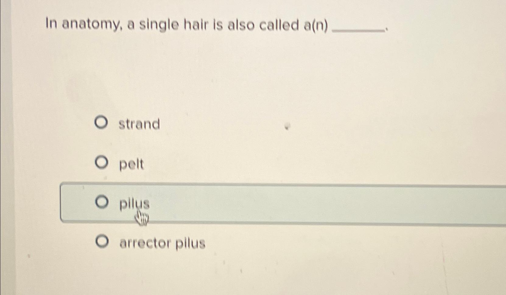 Solved In anatomy, a single hair is also called | Chegg.com