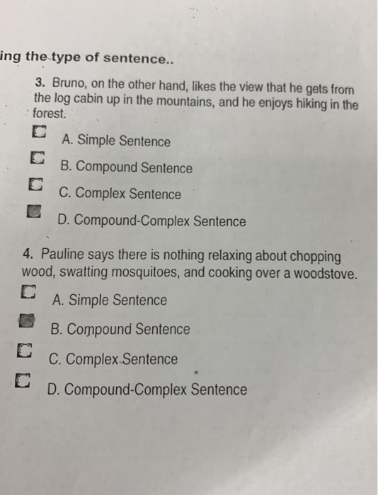 Solved ing the type of sentence.. 3. Bruno, on the other | Chegg.com