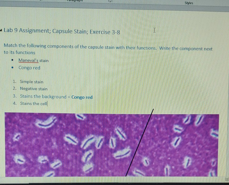 Solved Styles Lab 9 Assignment; Capsule Stain; Exercise 3-8 | Chegg.com