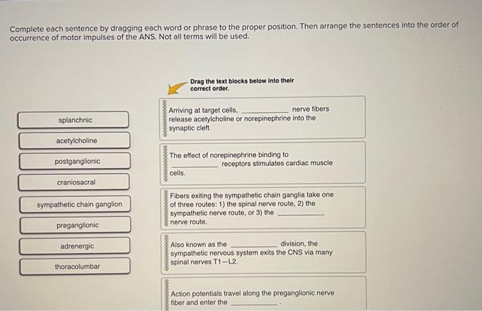 Solved Complete each sentence by dragging each word or | Chegg.com