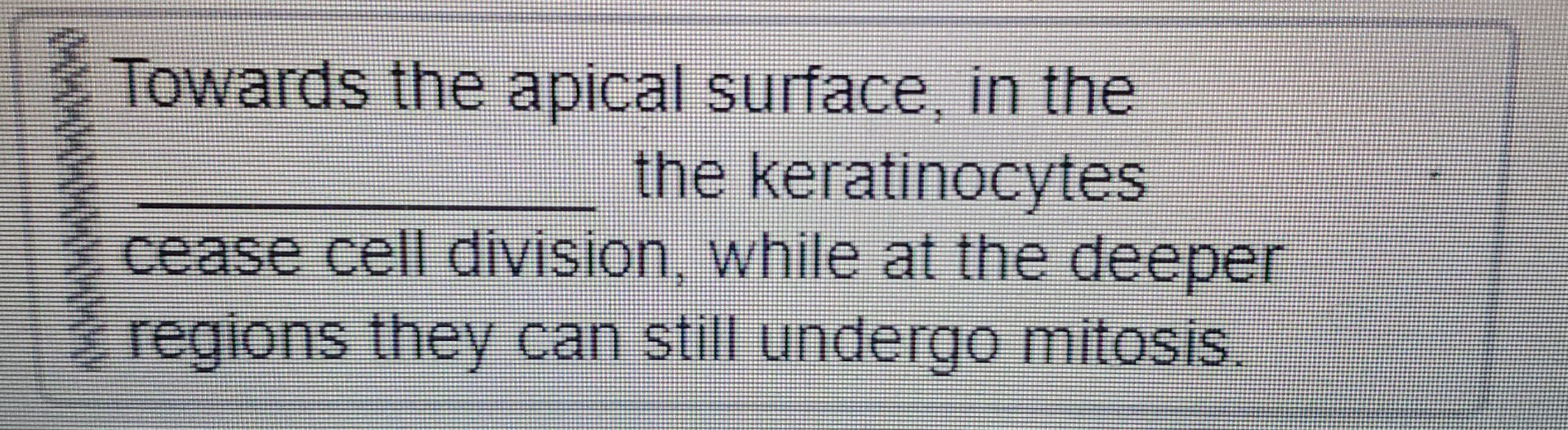 Solved Towards the apical surface, in theq, ﻿the | Chegg.com