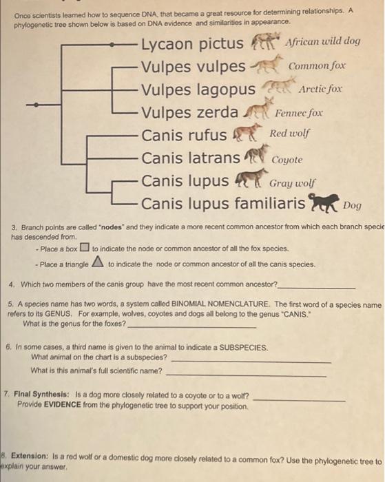Solved Once scientists learned how to sequence DNA, that | Chegg.com