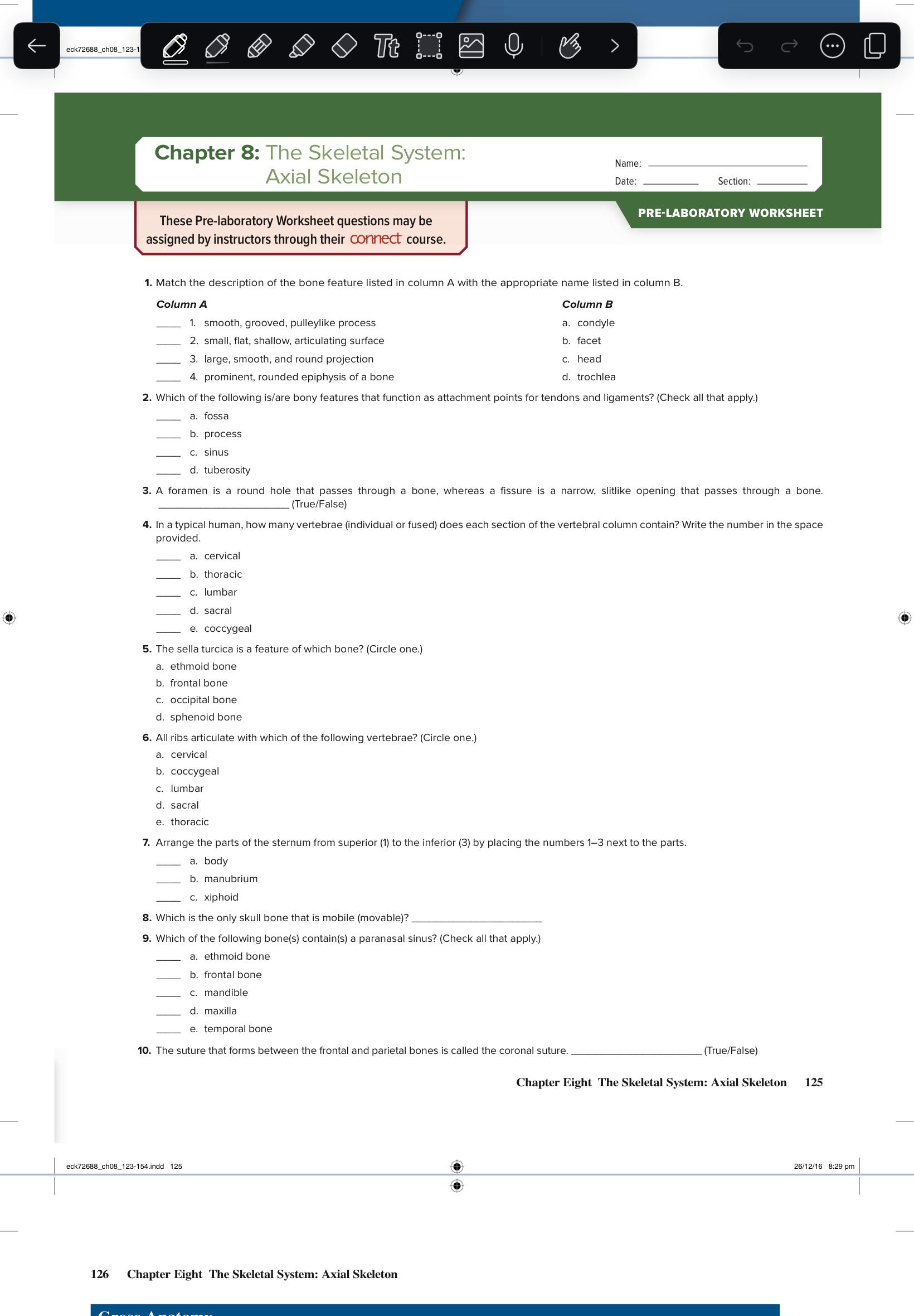 Solved Chapter 8: The Skeletal System: Axial | Chegg.com
