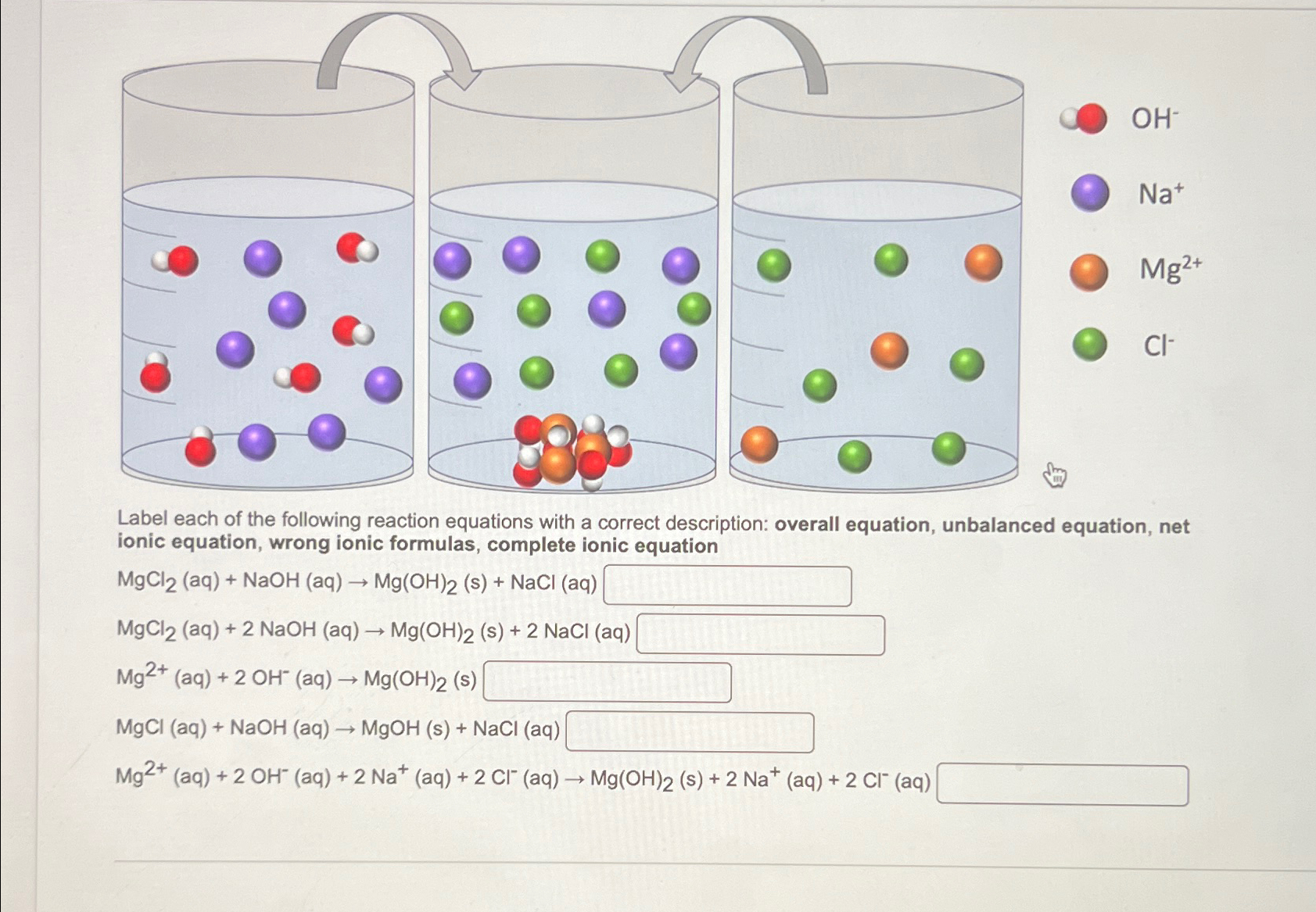Solved Label each of the following reaction equations with a | Chegg.com