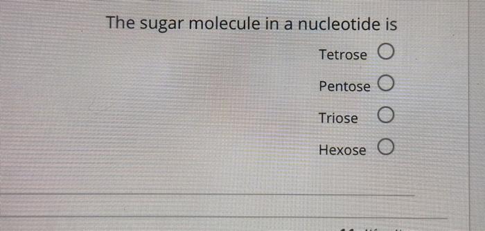 Solved The sugar molecule in a nucleotide is Tetrose Pentose | Chegg.com