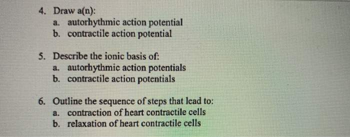 Solved 4. Draw a(n): a. autorhythmic action potential b. | Chegg.com