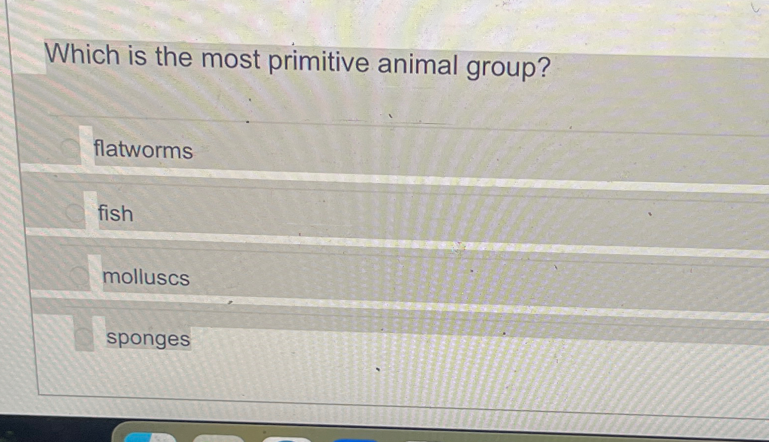 Solved Which is the most primitive animal | Chegg.com