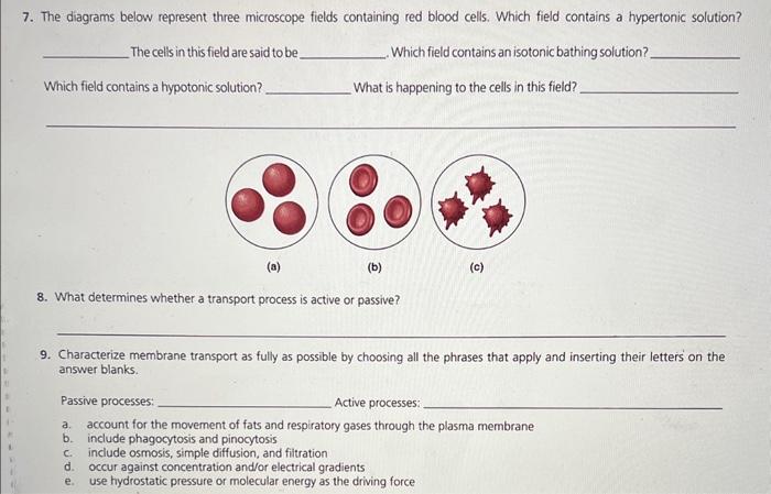 Solved 7. The diagrams below represent three microscope | Chegg.com