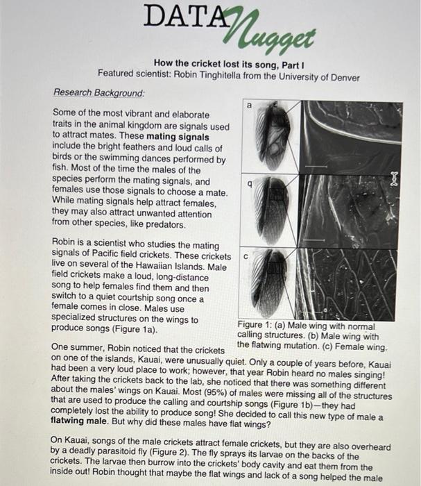 DATANugget bol. How the cricket lost its song, Part 1 | Chegg.com