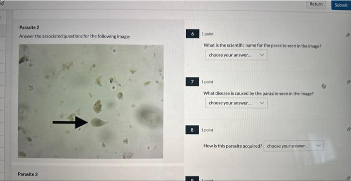 Solved What is the scientific name for the parasite seen in | Chegg.com