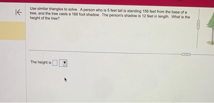 Solved Use similar triangles to solve. A person who is 5 | Chegg.com