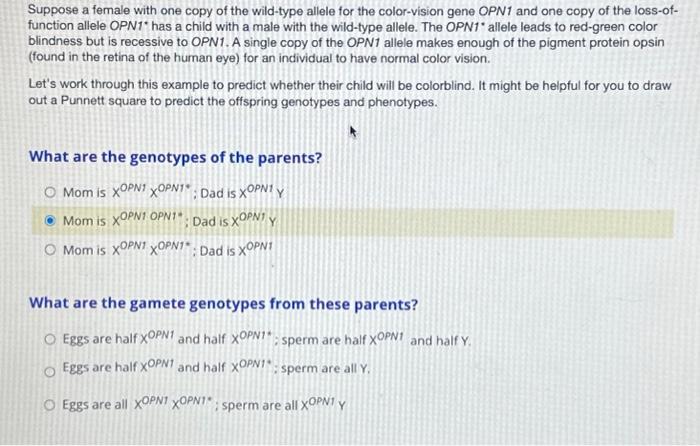 Solved Suppose a female with one copy of the wild-type | Chegg.com