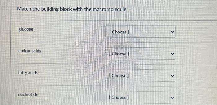 Solved Match the building block with the macromolecule | Chegg.com