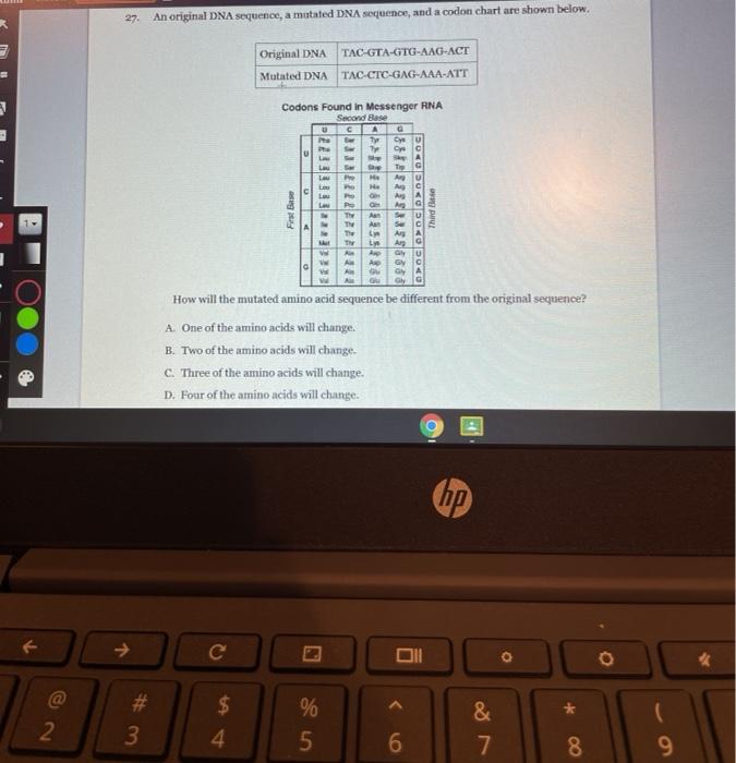 Solved 27. An original DNA sequence, a mutated DNA sequence, | Chegg.com