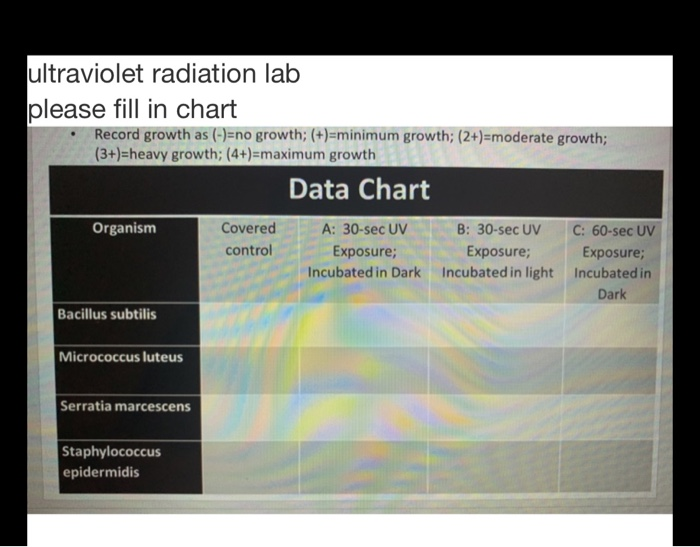 Solved ultraviolet radiation lab please fill in chart Record | Chegg.com