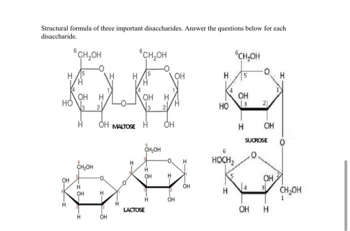 Solved Structural formula of three important disaccharides. | Chegg.com