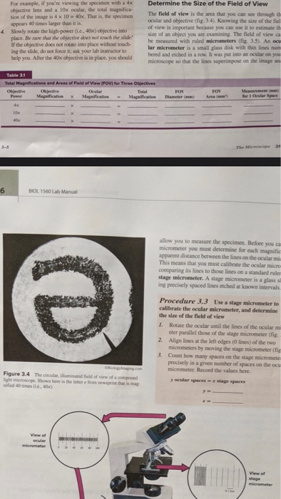 For example, if you're viewing the specimen with a 4x | Chegg.com