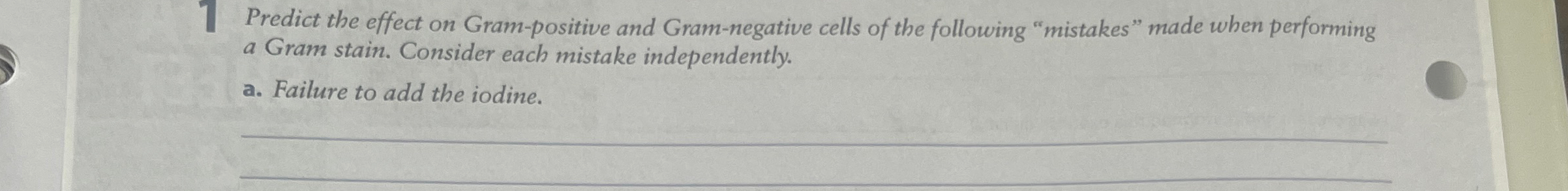 Solved 1 ﻿Predict the effect on Gram-positive and | Chegg.com