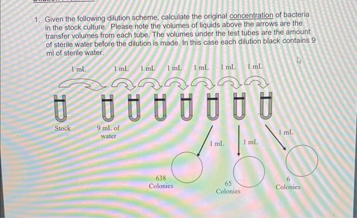 Solved 1. Given the following dilution scheme, calculate the | Chegg.com