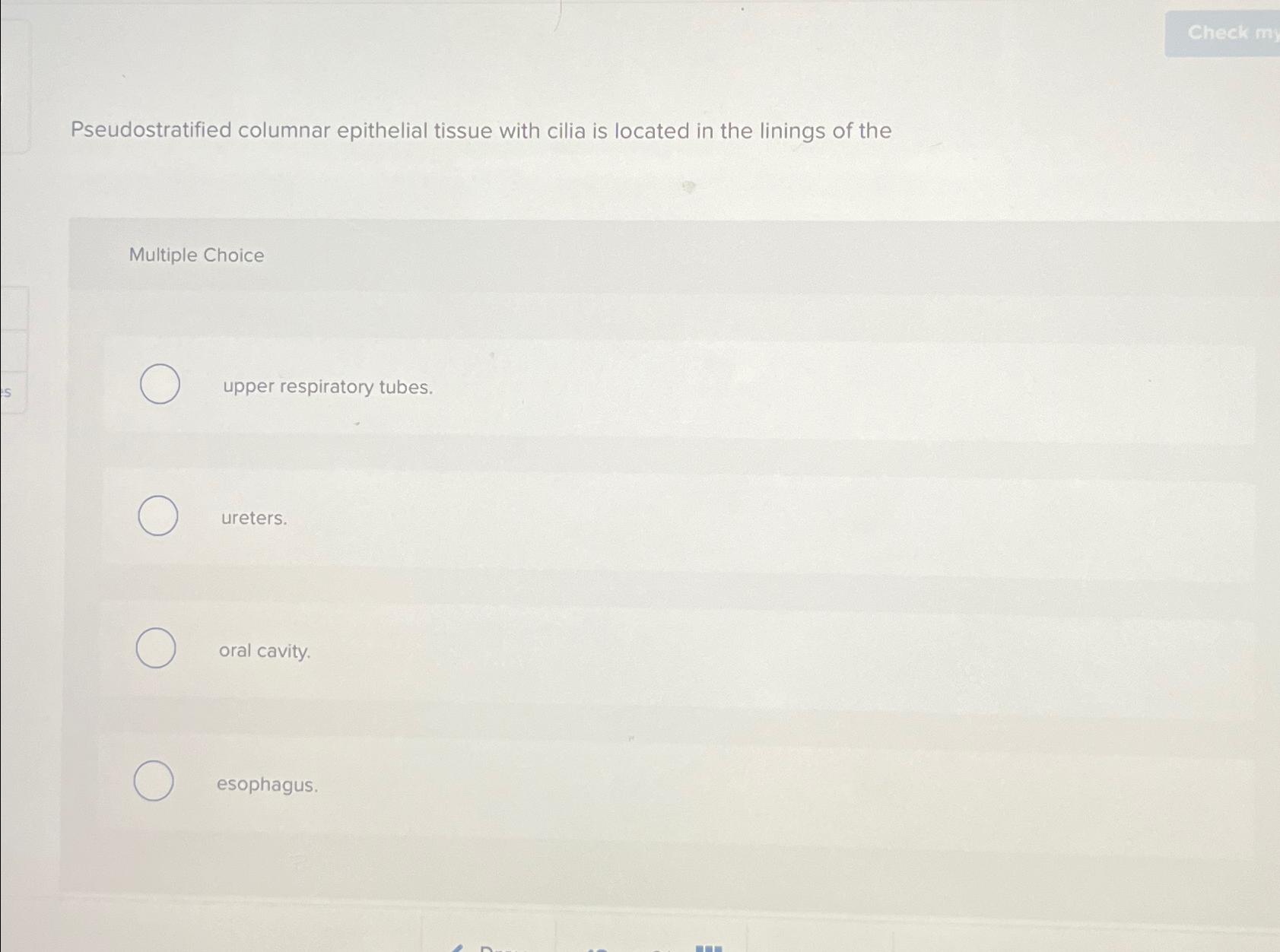 Solved Pseudostratified columnar epithelial tissue with | Chegg.com