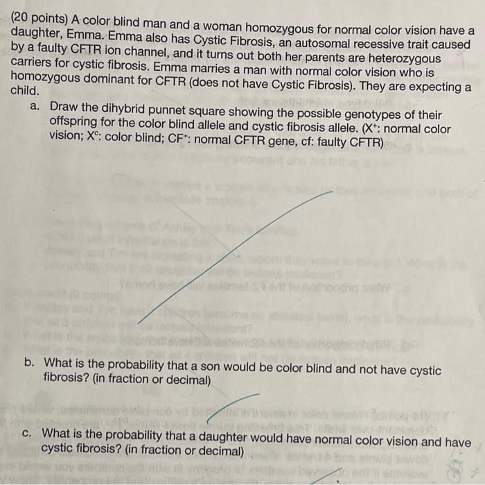 Solved 20 Points A Color Blind Man And A Woman Homozygous 3445