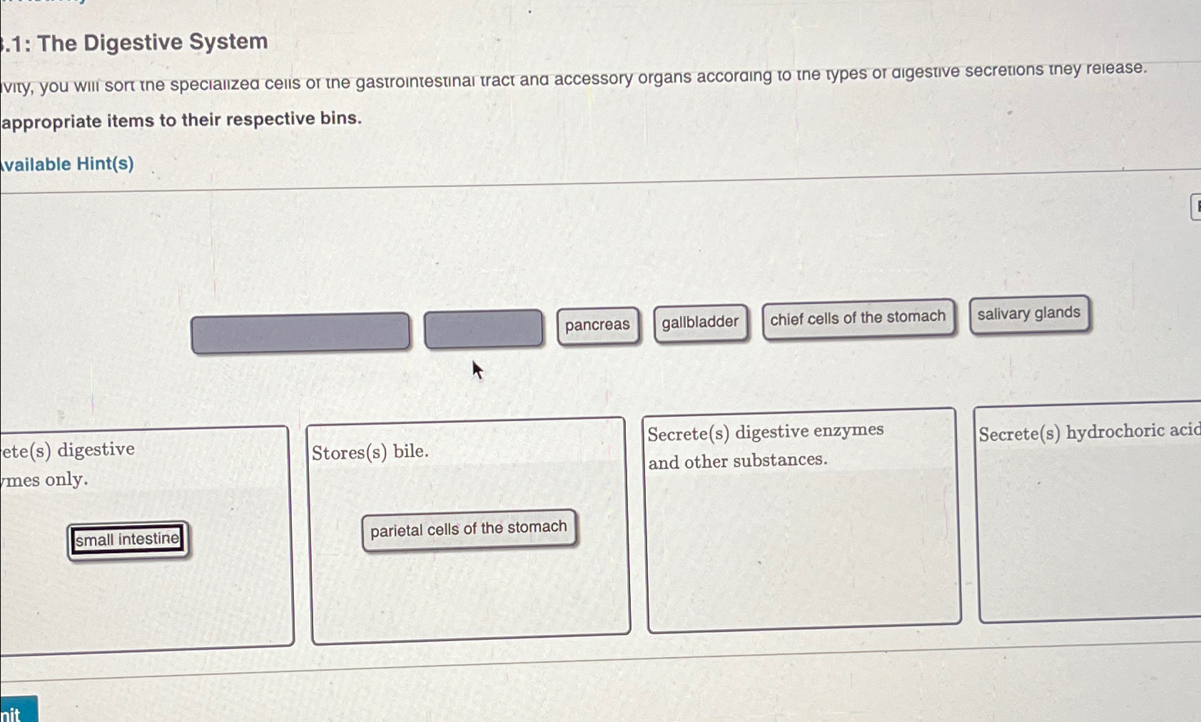 Solved 1: The Digestive SystemIVIty, you WIII sort the | Chegg.com