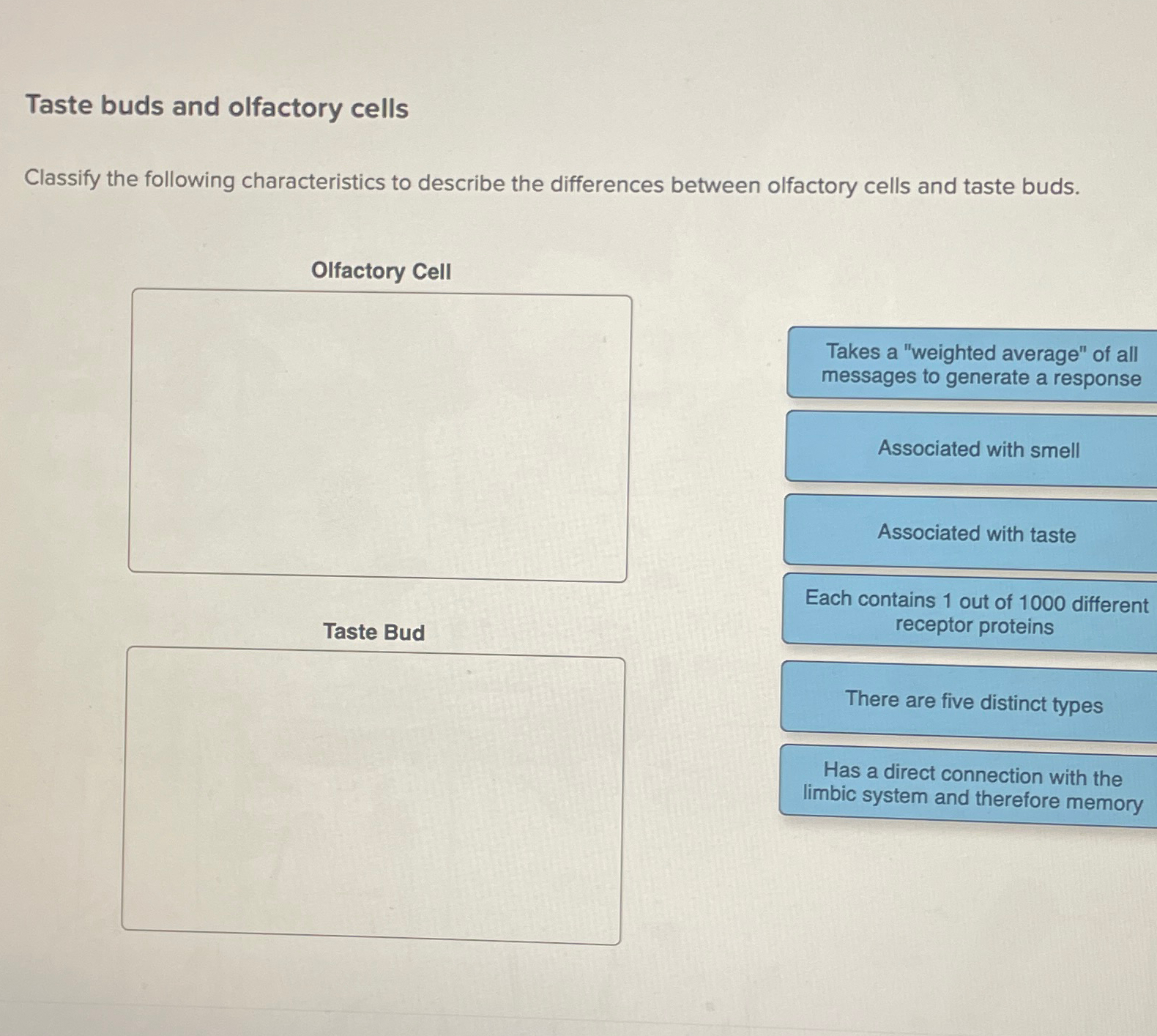 Solved Taste buds and olfactory cellsClassify the following | Chegg.com