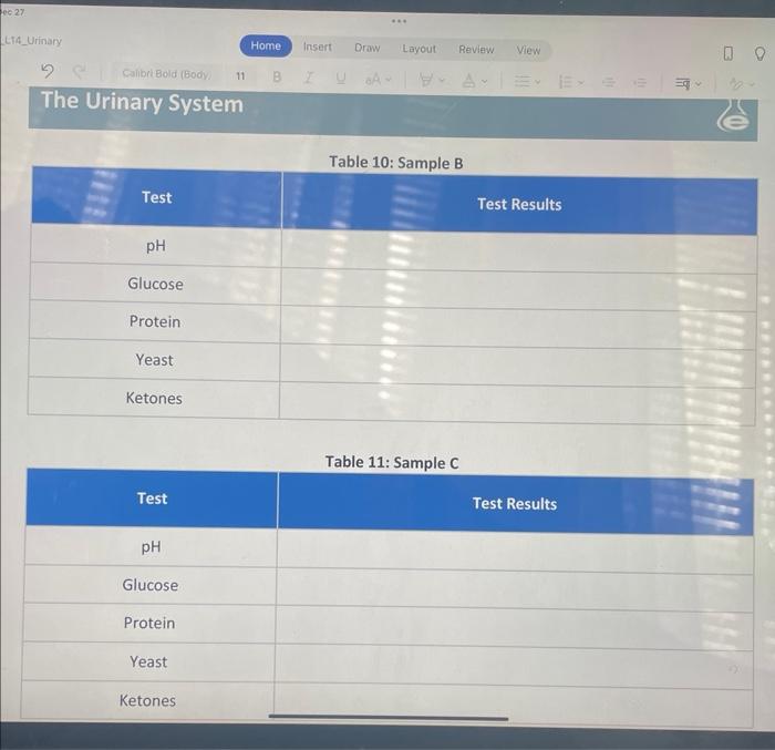 Solved The Urinary System Tahle 5. Simulated Urine Glucose | Chegg.com