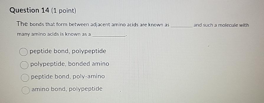 Solved Question 14 (1 ﻿point)The bonds that form between | Chegg.com
