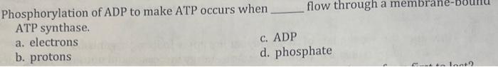 Solved Phosphorylation of ADP to make ATP occurs when flow | Chegg.com