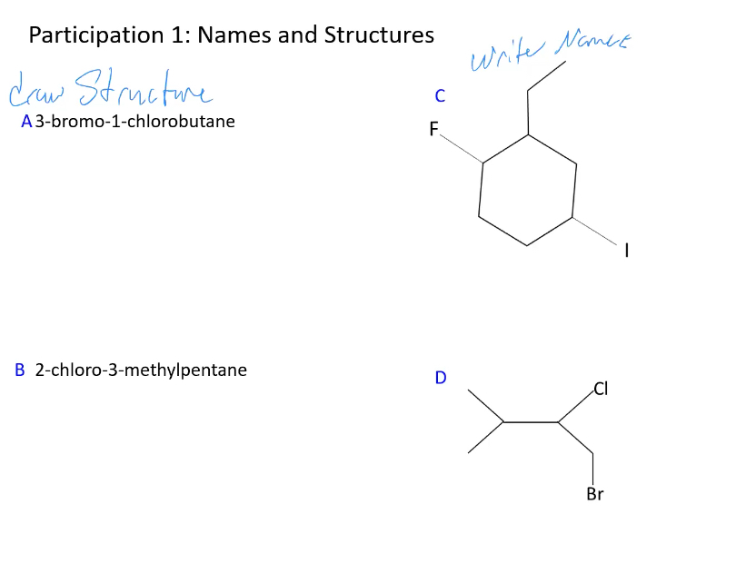 Solved Participation 1: Names and Structur¿uw | Chegg.com