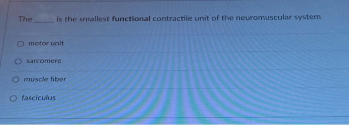 Solved The is the smallest functional contractile unit of | Chegg.com