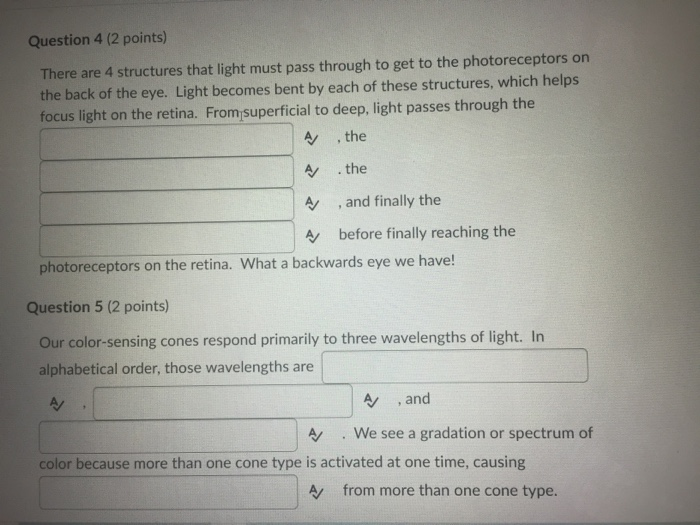 Solved Question 4 (2 points) There are 4 structures that | Chegg.com Solved Question 4 (2 points) There are 4 structures that | Chegg.com