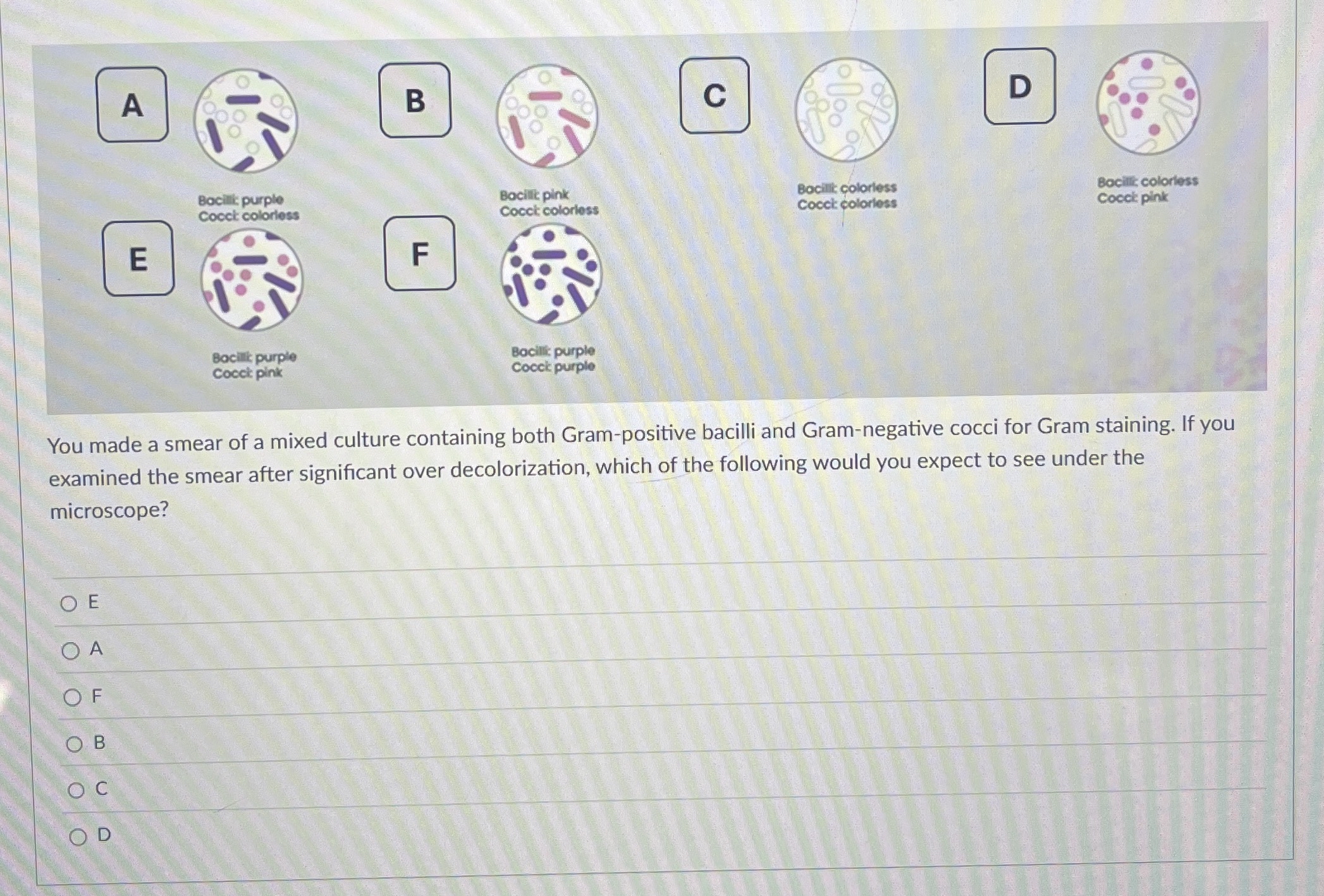 Solved Bocilit purple Cocct colorlessBocilit purple Cocok | Chegg.com