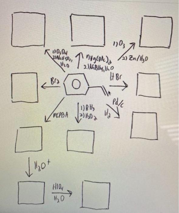 Solved can you fill in the boxes please | Chegg.com Solved can you fill in the boxes please | Chegg.com
