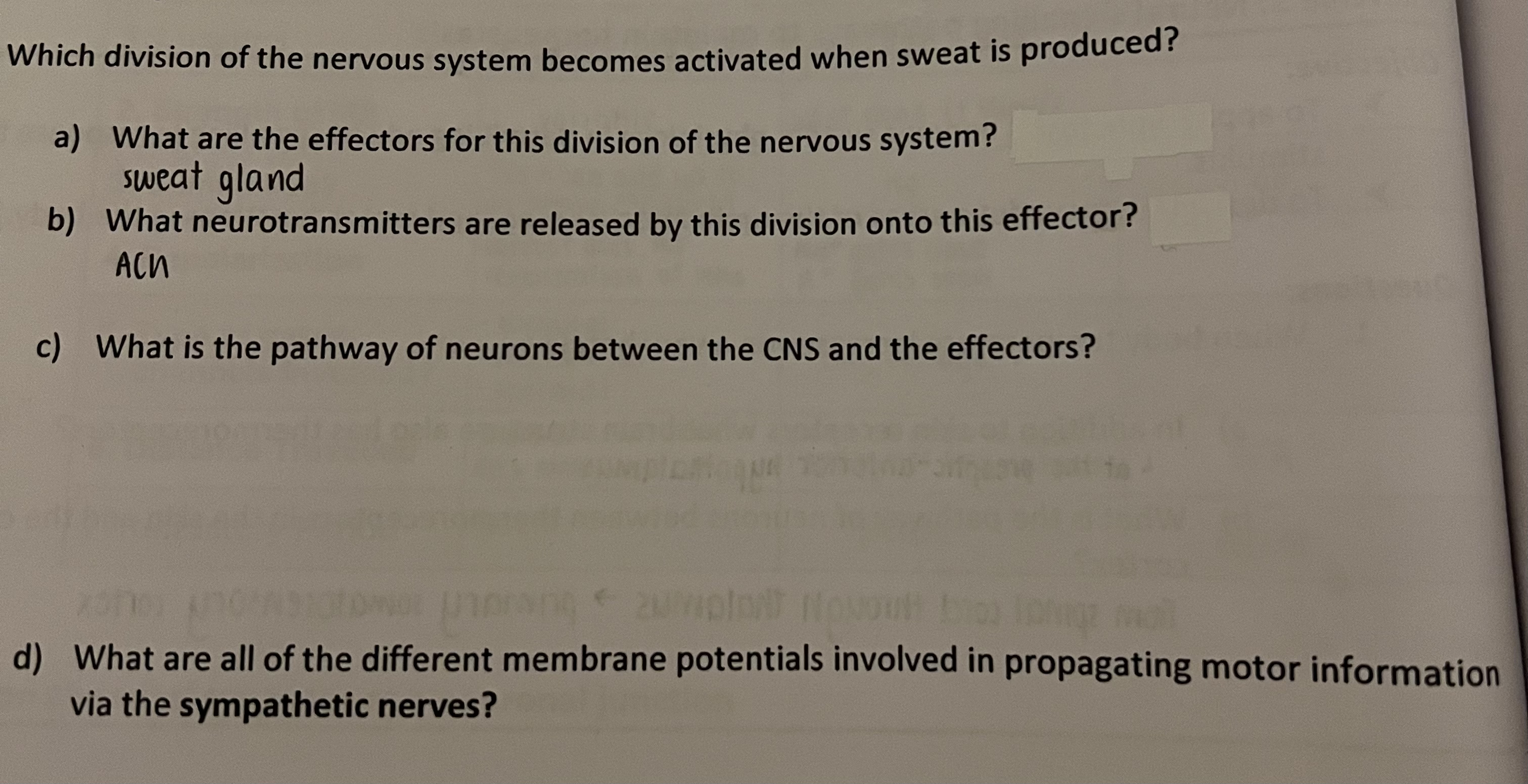 Solved Which division of the nervous system becomes | Chegg.com