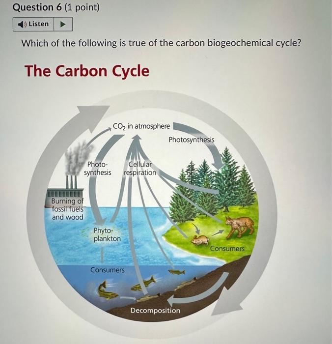 Solved Which of the following is true of the carbon | Chegg.com