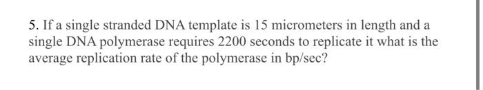 Solved 5. If a single stranded DNA template is 15 | Chegg.com