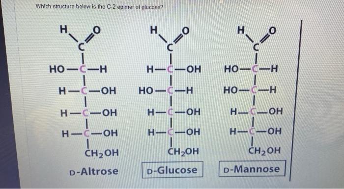 Solved Which structure below is the C-2 epimer of glucose? | Chegg.com