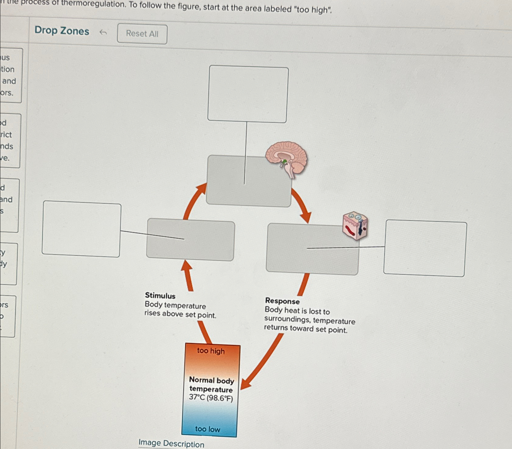 Solved the process of thermoregulation. To follow the | Chegg.com