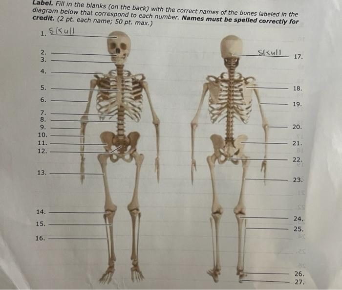 Solved Label. Fill in the blanks (on the back) with the | Chegg.com