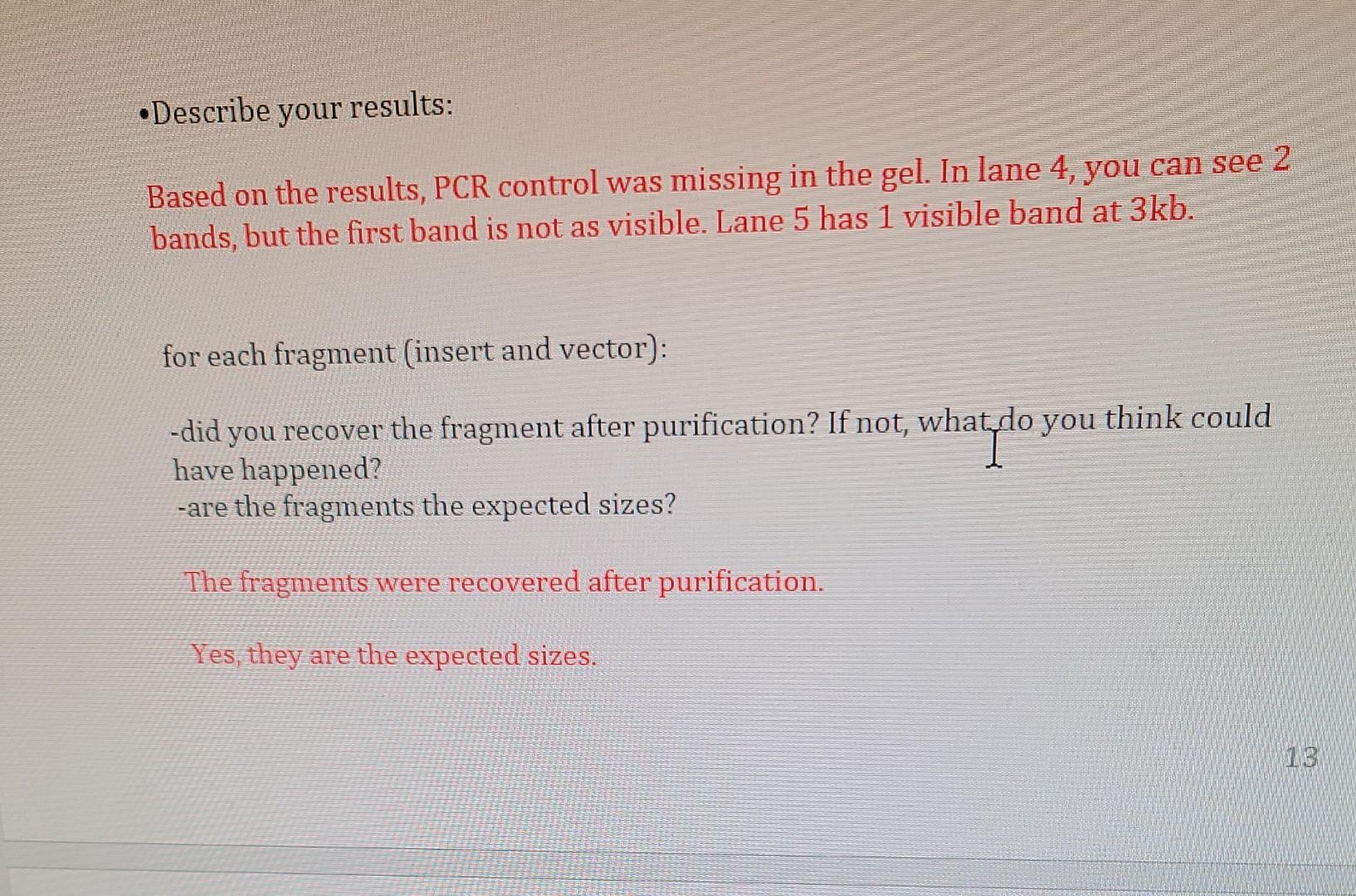 Solved - Describe your results: for each fragment (insert | Chegg.com